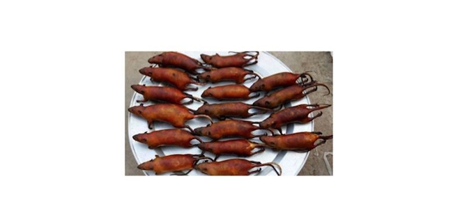 ศุลกากรเผยอาหารแปลกที่มีผู้นำเข้ามาในประเทศ – jingjonews